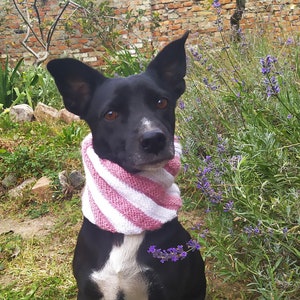 Small Dog Hat Crochet Pattern Free - Etsy