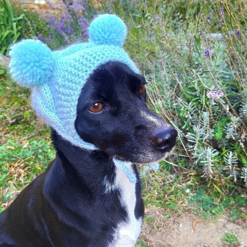 Dog Snood Knitting Pattern PDF Instant Download Knitted Dog - Etsy Canada