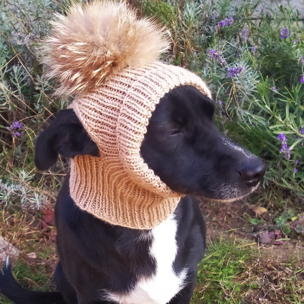 Knitted Dog Hat - Etsy