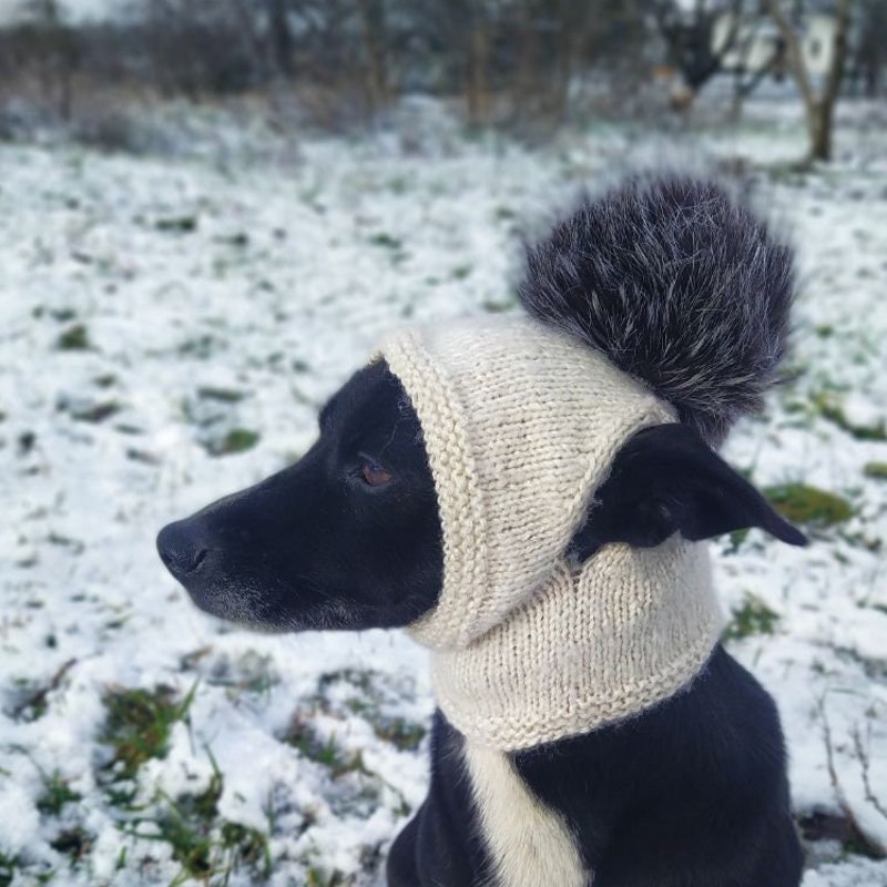 Dog Hats - Etsy