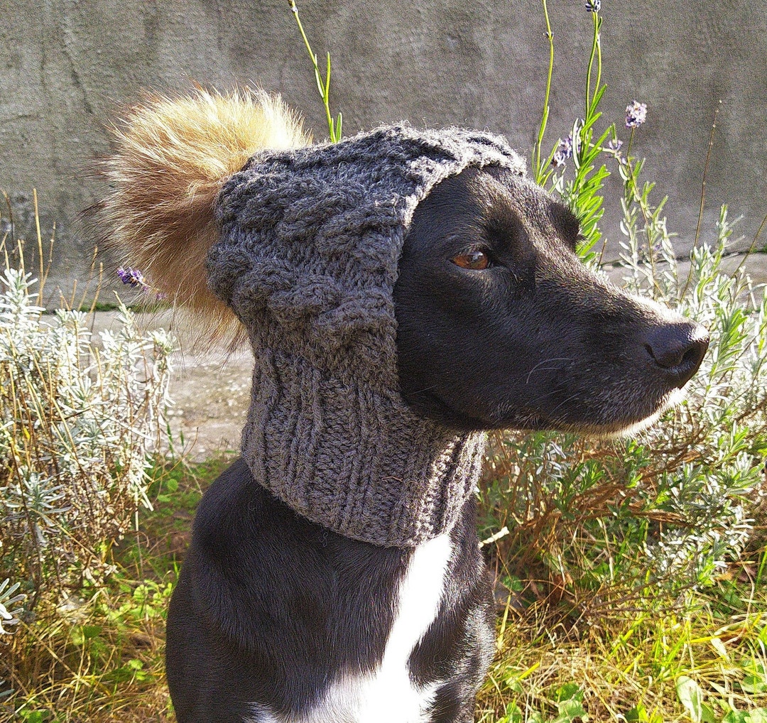Pdf Knitting Pattern Cable Dog Hats, Cable Knit Hat/fur Pom Dog Hat ...