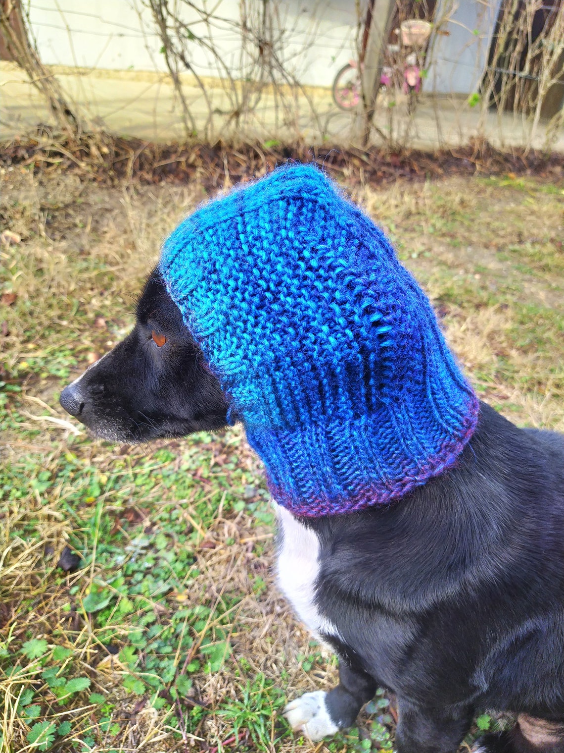Pdf Knitting Pattern Dog Hats,base Dog Hat,small Dog Hat,knitted Dog ...