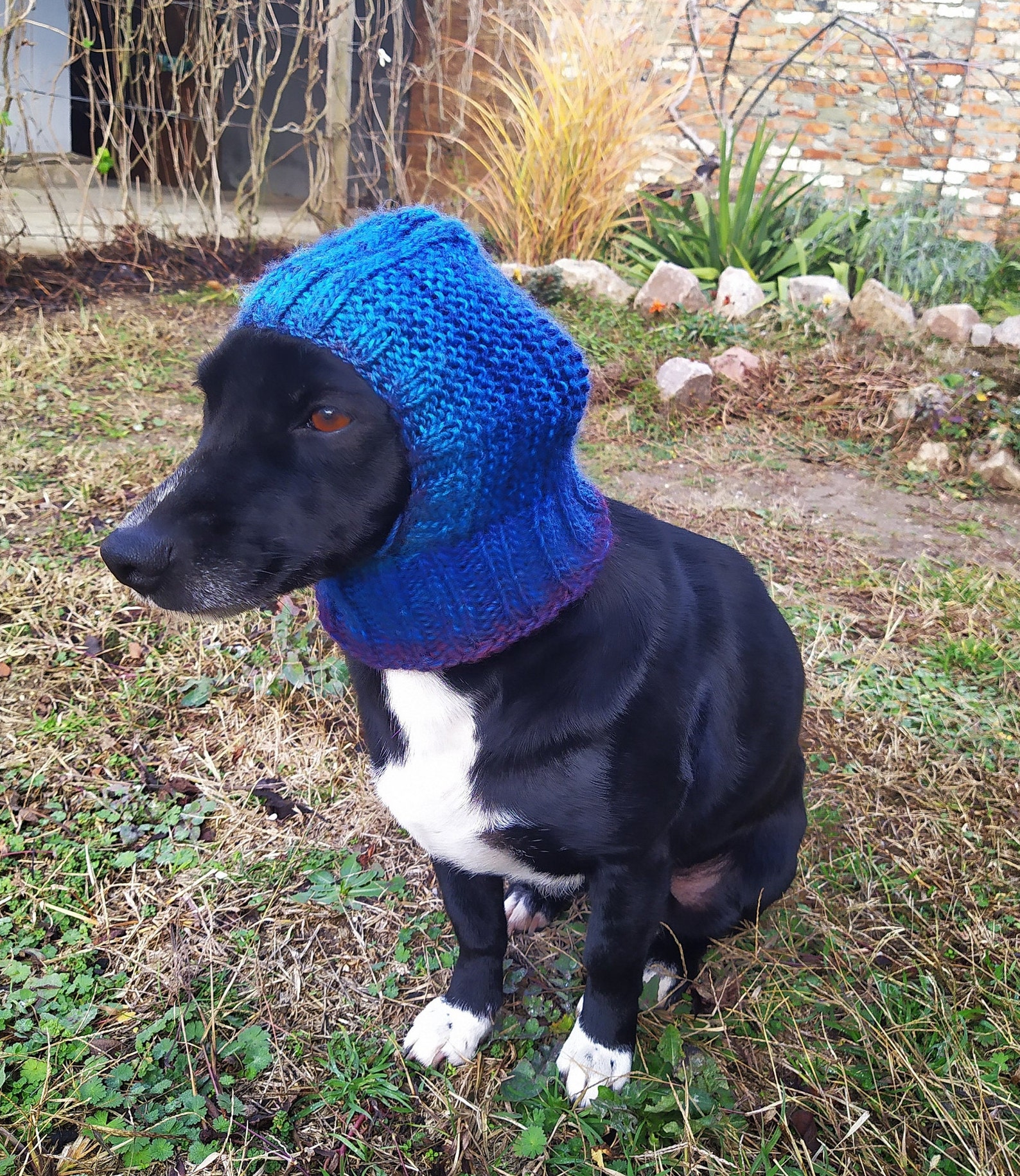 Pdf Knitting Pattern Dog Hats,base Dog Hat,small Dog Hat,knitted Dog ...