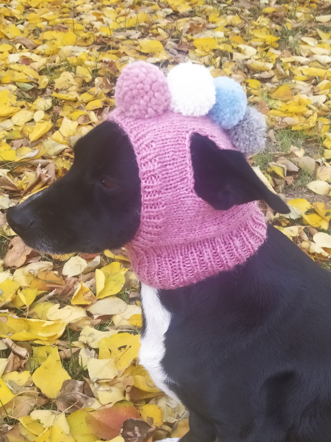 Pdf Knitting Pattern Dog Hatspompoms Dog Hatsmall Dog - Etsy