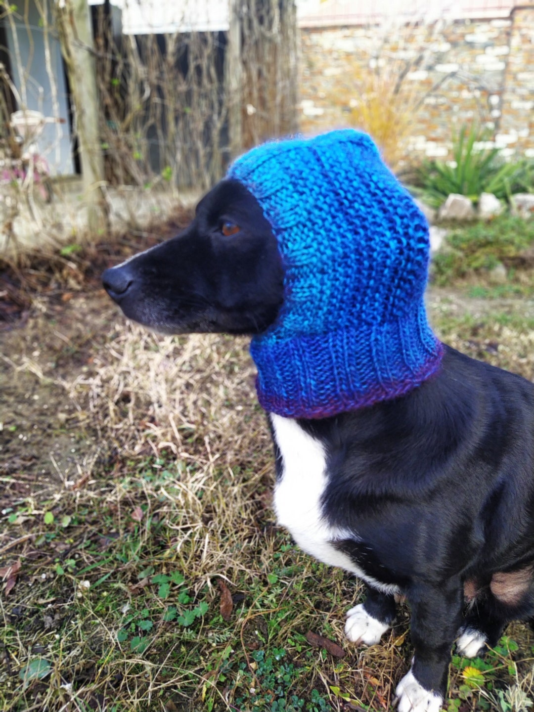 Pdf Knitting Pattern Dog Hats,base Dog Hat,small Dog Hat,knitted Dog ...