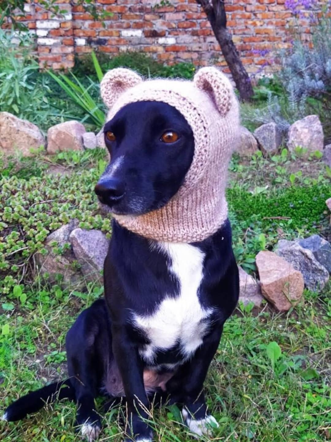 Dog Hat /pdf Pattern/with Pom Pom and Bear Ears/hand-knitted Hat for ...
