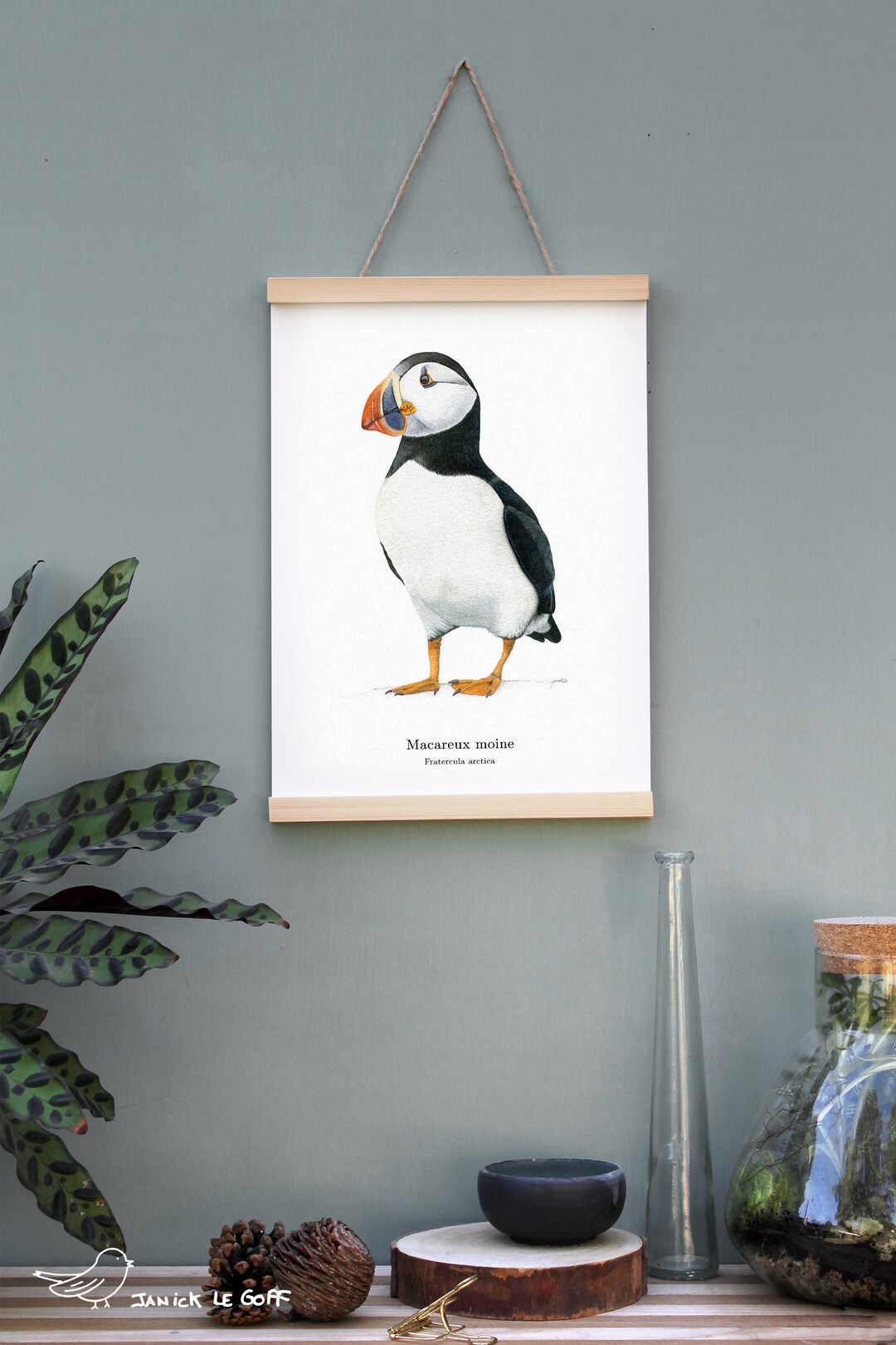 Puffin Poster - Etsy