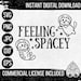 Feeling Spacey SVG Astronaut Cat SVG Cat Svg Space Cutting File Cat Dxf ...