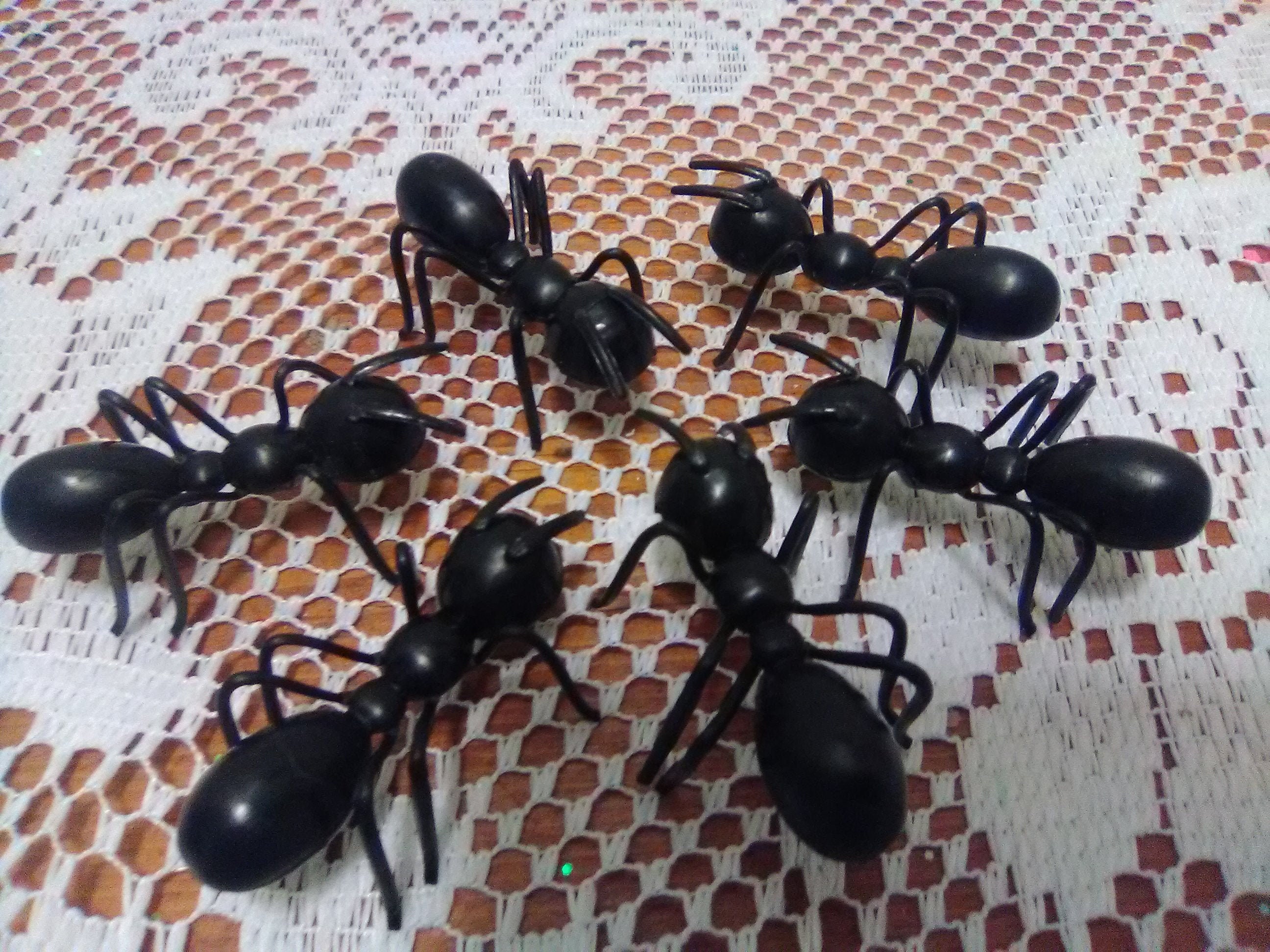 Black Ants Table Ants Costume Ants Tablescapes Decorating | Etsy