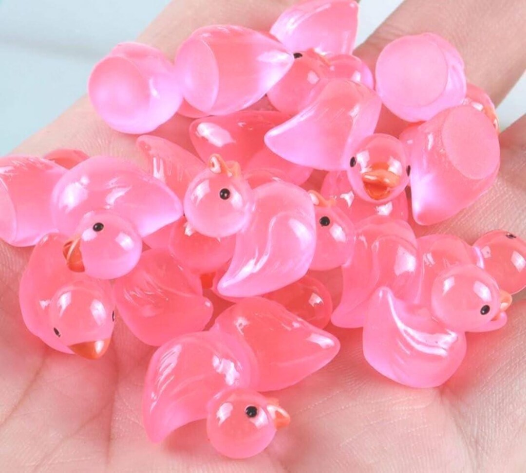 Pink Ducks, Mini Pink Ducks, Glow in the Dark, Fairy Garden, Landscape ...