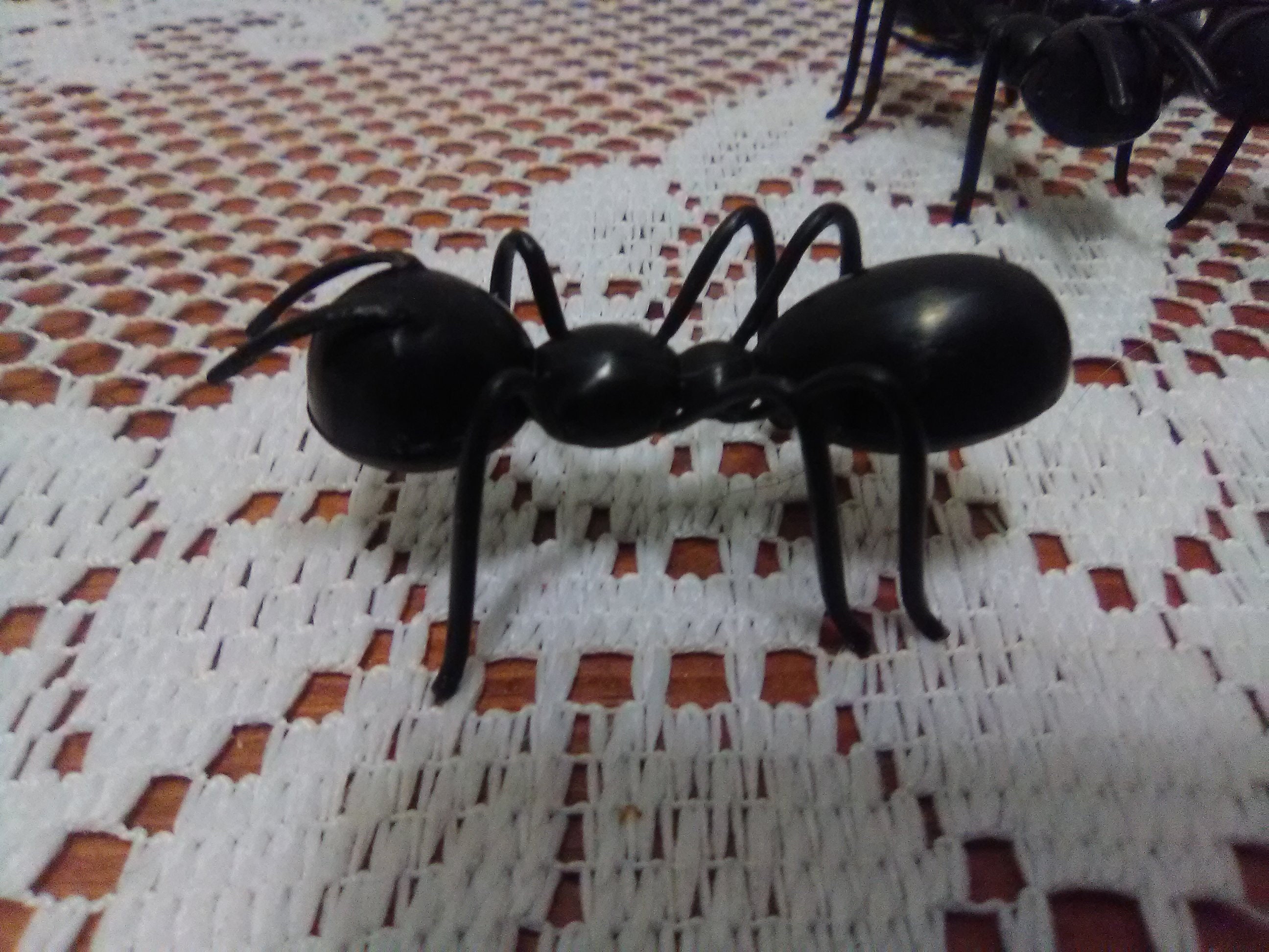 Black Ants Table Ants Costume Ants Tablescapes Decorating | Etsy