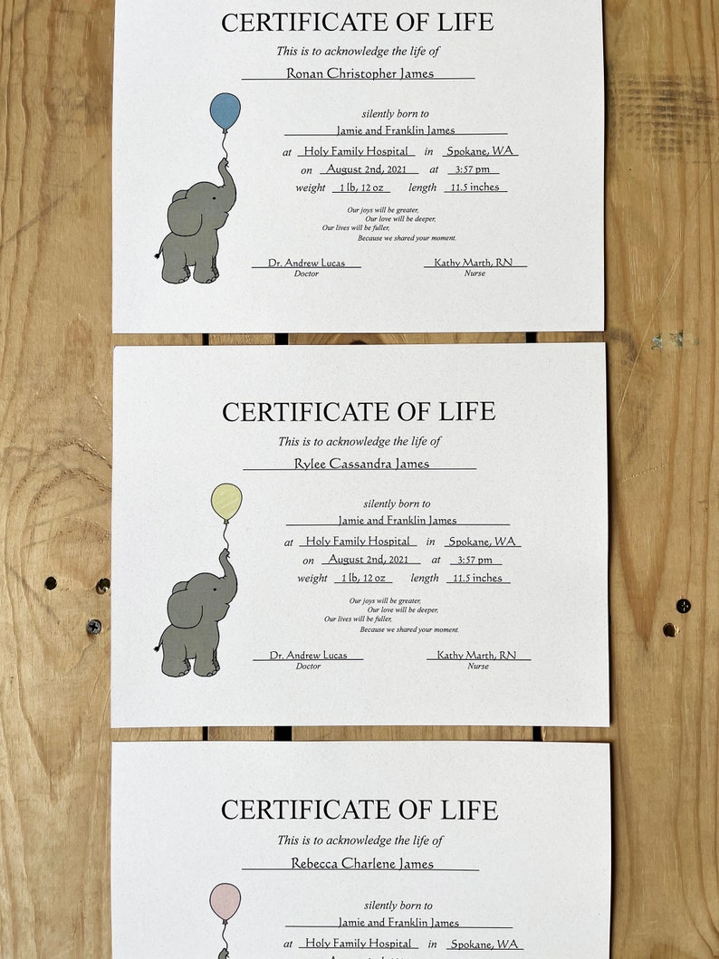 Certificate of Life, Stillborn, Elephant, Never Forget, Remembering ...
