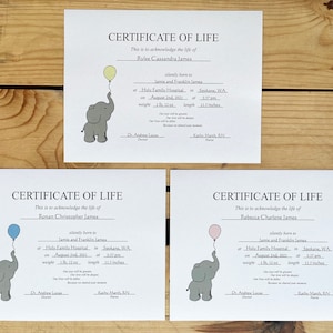 Certificate of Life, Stillborn, Elephant, Never Forget, Remembering ...