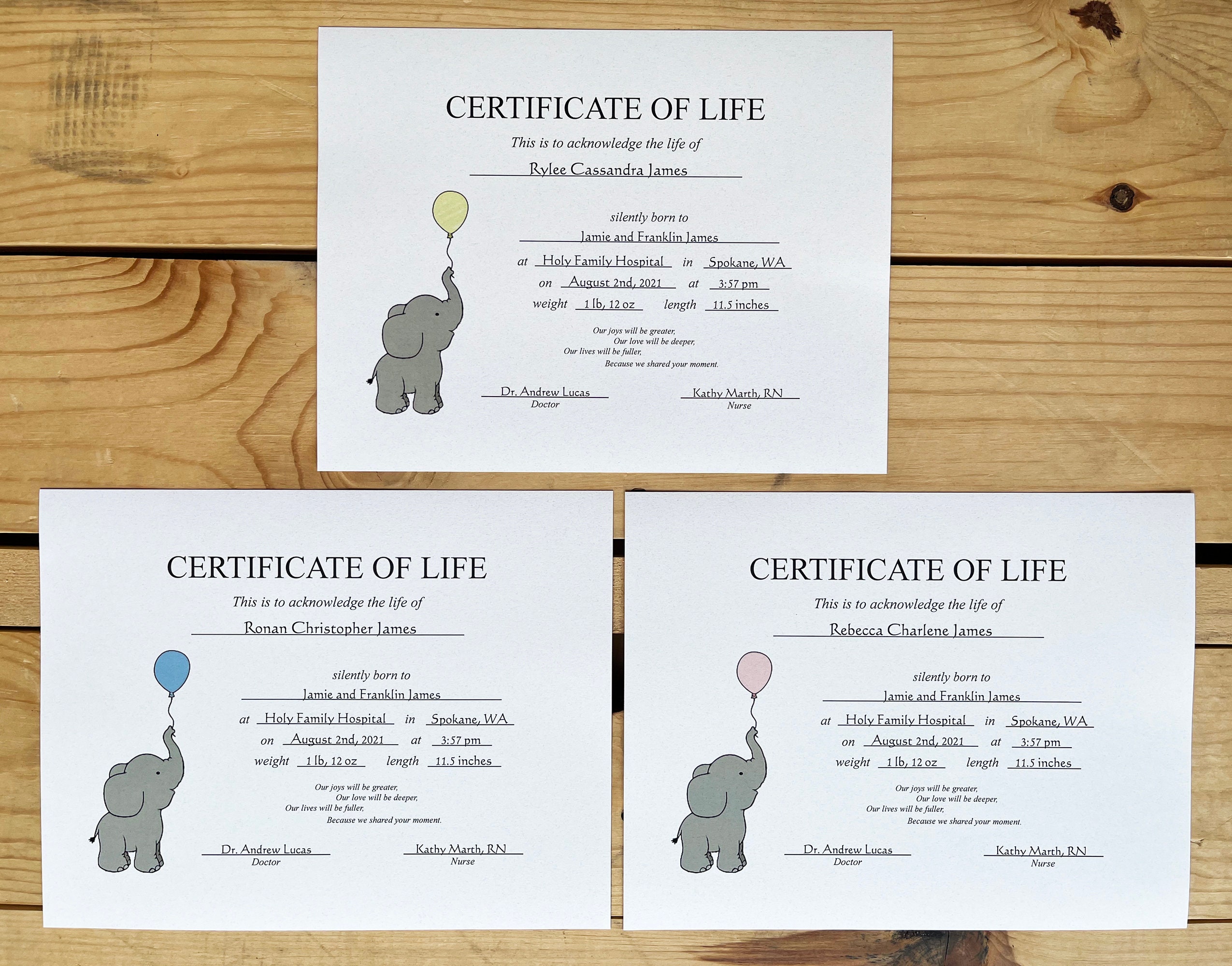 Certificate of Life, Stillborn, Elephant, Never Forget, Remembering ...