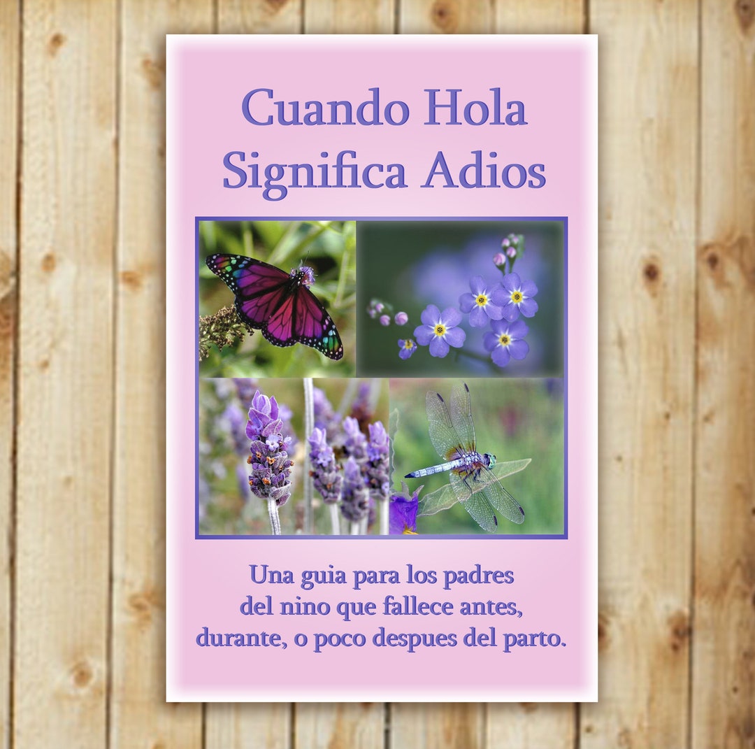 Cuando Hola Significa Adios, Infant Loss Guidebook, Grief Support ...