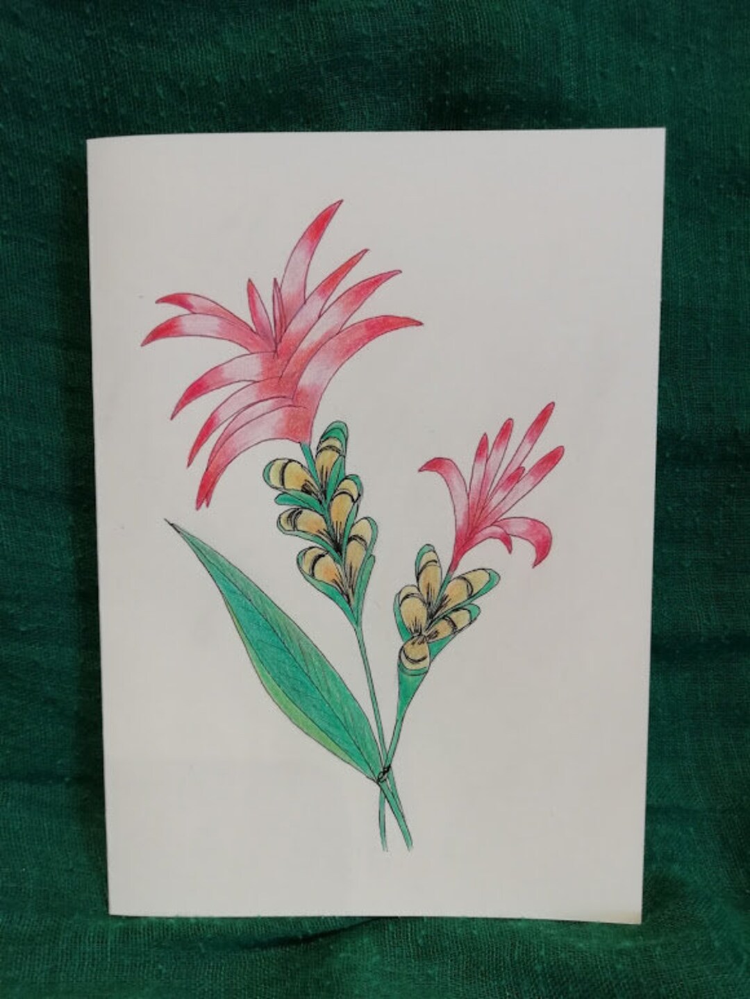 Medicinal Plants Blank Greeting Card – Turmeric Flower - Etsy