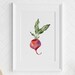 Beet Watercolor Art Print, Red Beets Painting, Garden Print, Farmhouse ...