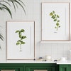 Herbs Print Set of 4, Watercolor Painting, Kitchen Wall Art, Sage, Tarragon, Rosemary, Parsley ...