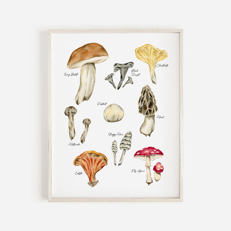 Mushroom Poster - Etsy
