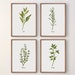 Herbs Print Set of 4, Watercolor Painting, Kitchen Wall Art, Sage, Tarragon, Rosemary, Parsley ...