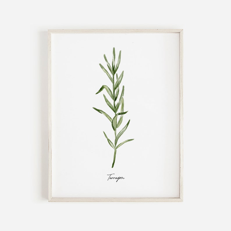 Herbs Print Set of 4, Watercolor Painting, Kitchen Wall Art, Sage, Tarragon, Rosemary, Parsley ...