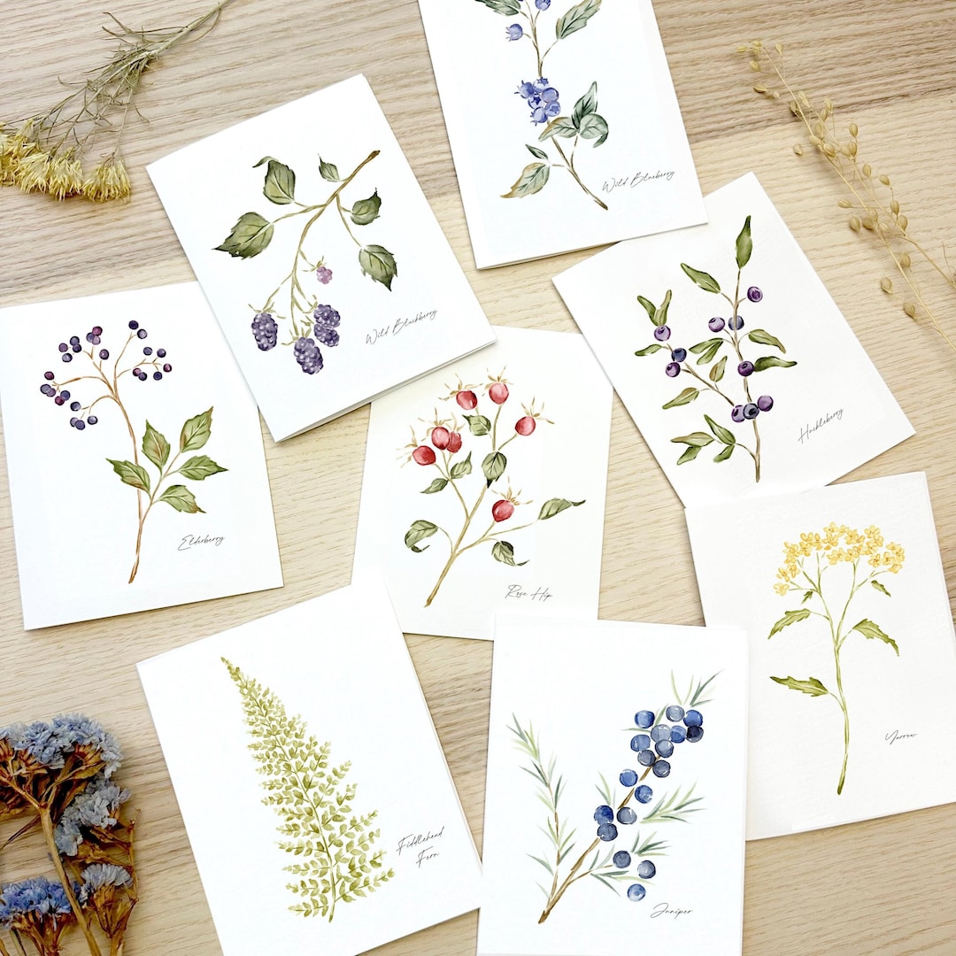 Botanical Notecard Set, Watercolor Stationery, Wild Edible Plant ...