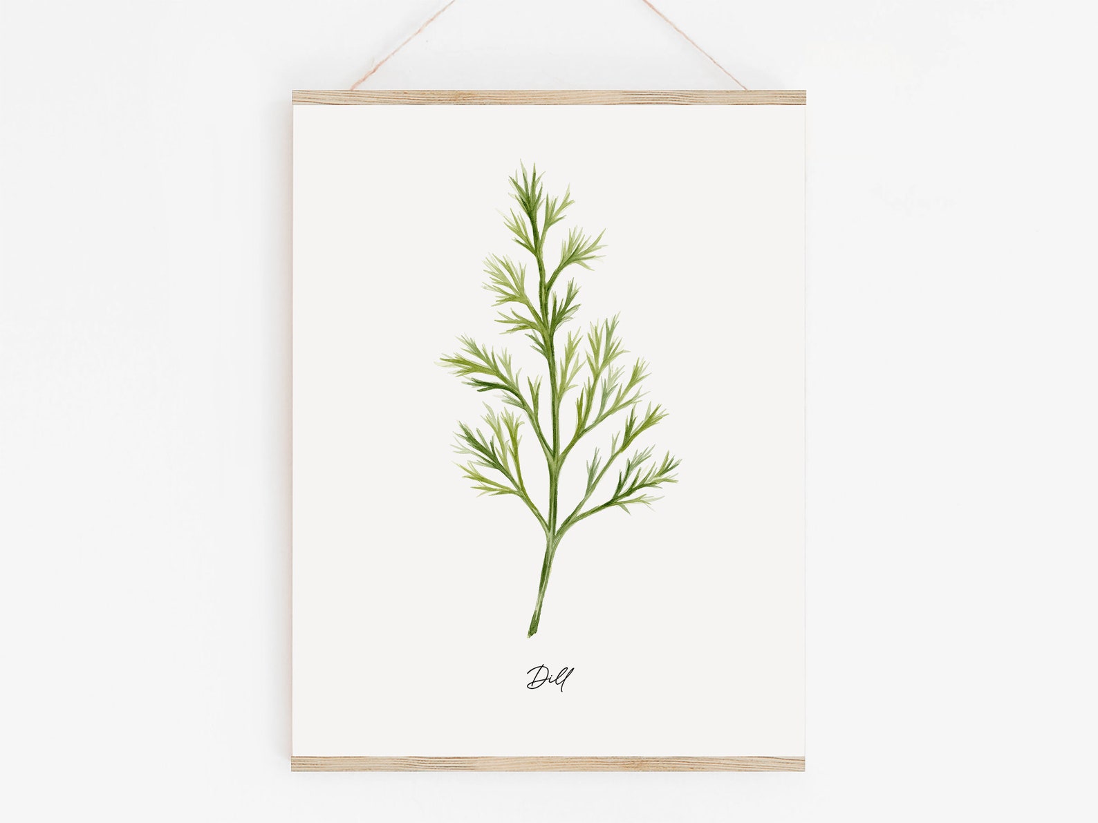 Dill Herb Art Print, Watercolor Botanical Kitchen Wall Decor - Etsy