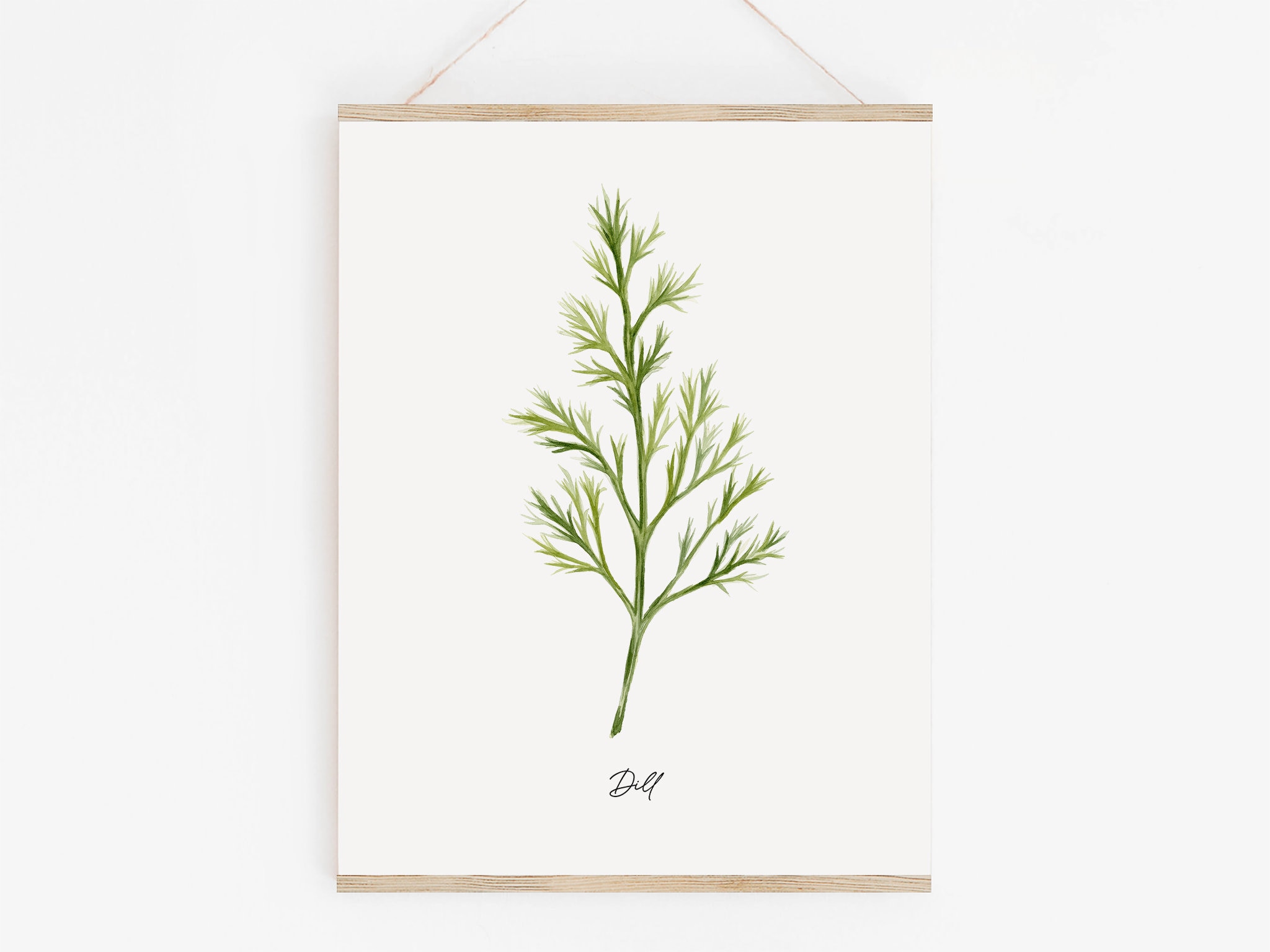 Dill Herb Art Print, Watercolor Botanical Kitchen Wall Decor - Etsy