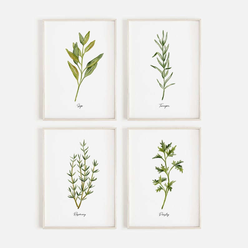 Herbs Print Set of 4, Watercolor Painting, Kitchen Wall Art, Sage, Tarragon, Rosemary, Parsley ...