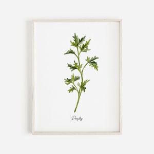 Herbs Print Set of 4, Watercolor Painting, Kitchen Wall Art, Sage, Tarragon, Rosemary, Parsley ...