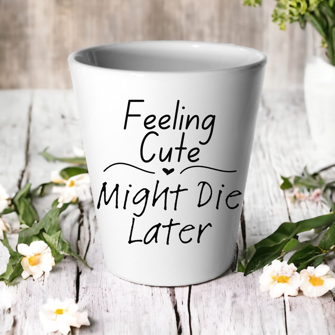 Feeling Cute Might Die Later Plant Pot / Succulent Cactus Flower Pot ...