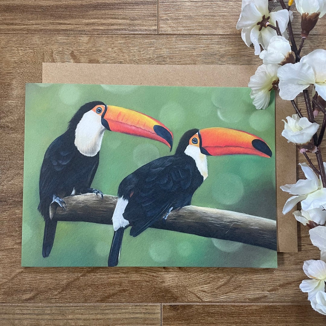 Toucan Card 7x5'' Beautiful Animal Card Blank - Etsy
