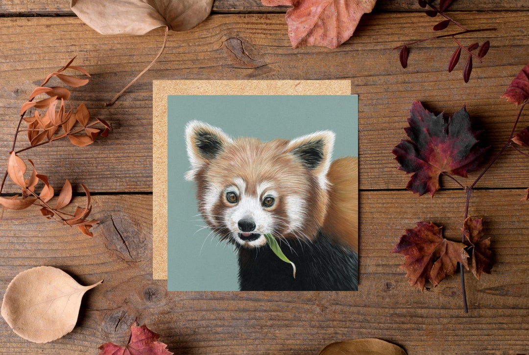 Red Panda Animal Card 6x6'' - Cute Panda Card - Blank Inside ...