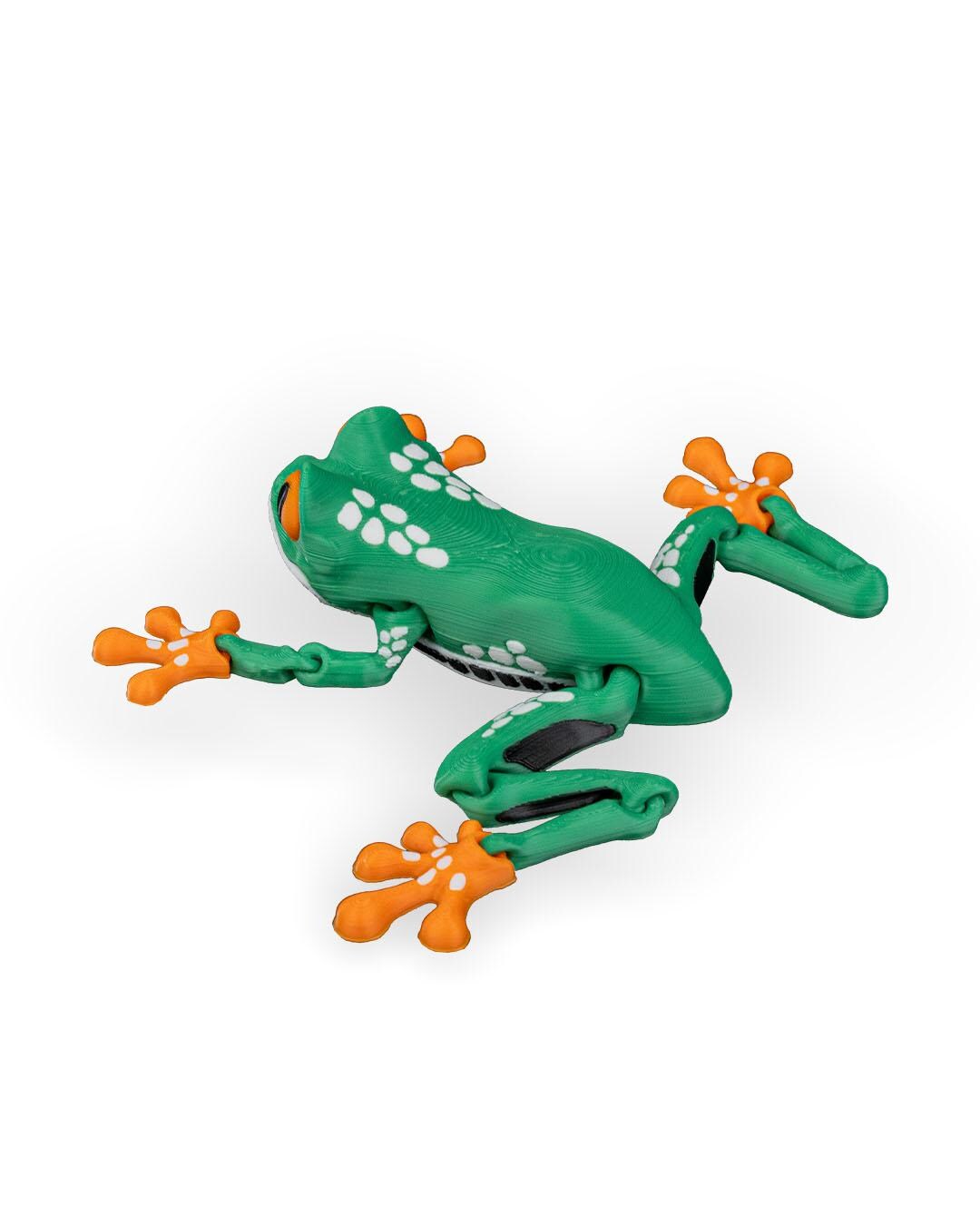 3D Printed Articulated Red-eyed Tree Frog Toy, Poseable Frog Gift ...