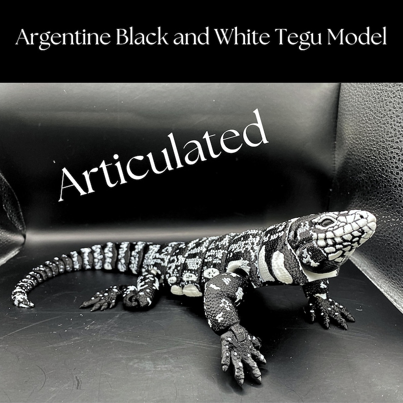3D Articulated Black and White Tegu Realistic 3D Printed Reptile Toy ...