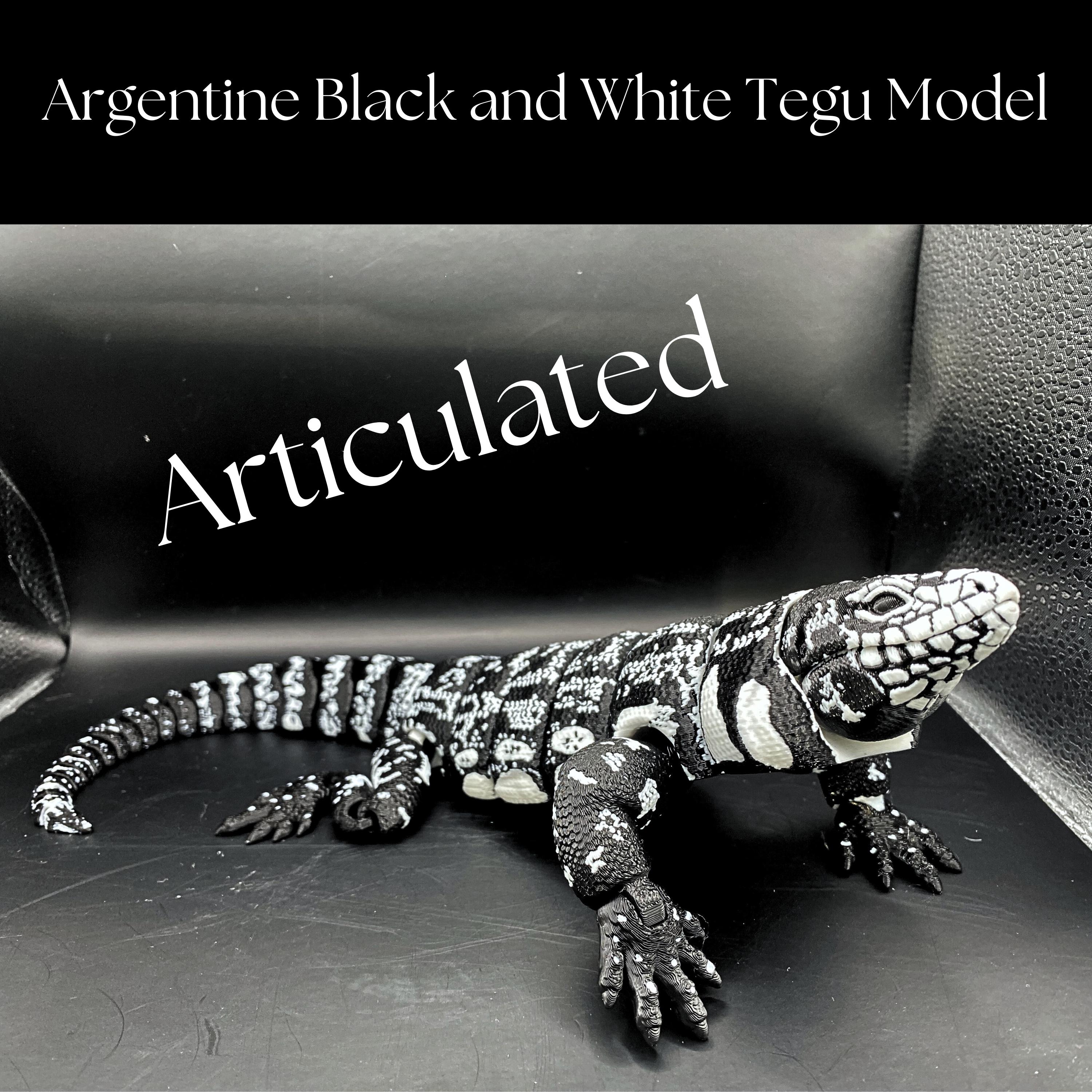 3D Articulated Black and White Tegu Realistic 3D Printed Reptile Toy ...