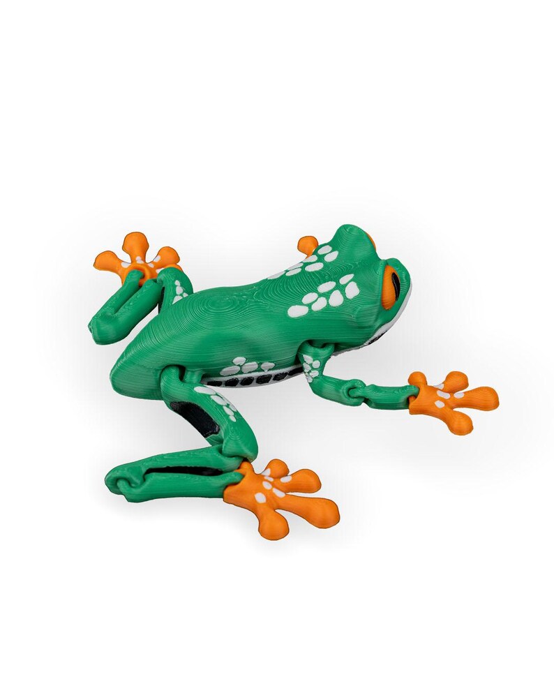 3D Printed Articulated Red-eyed Tree Frog Toy, Poseable Frog Gift ...