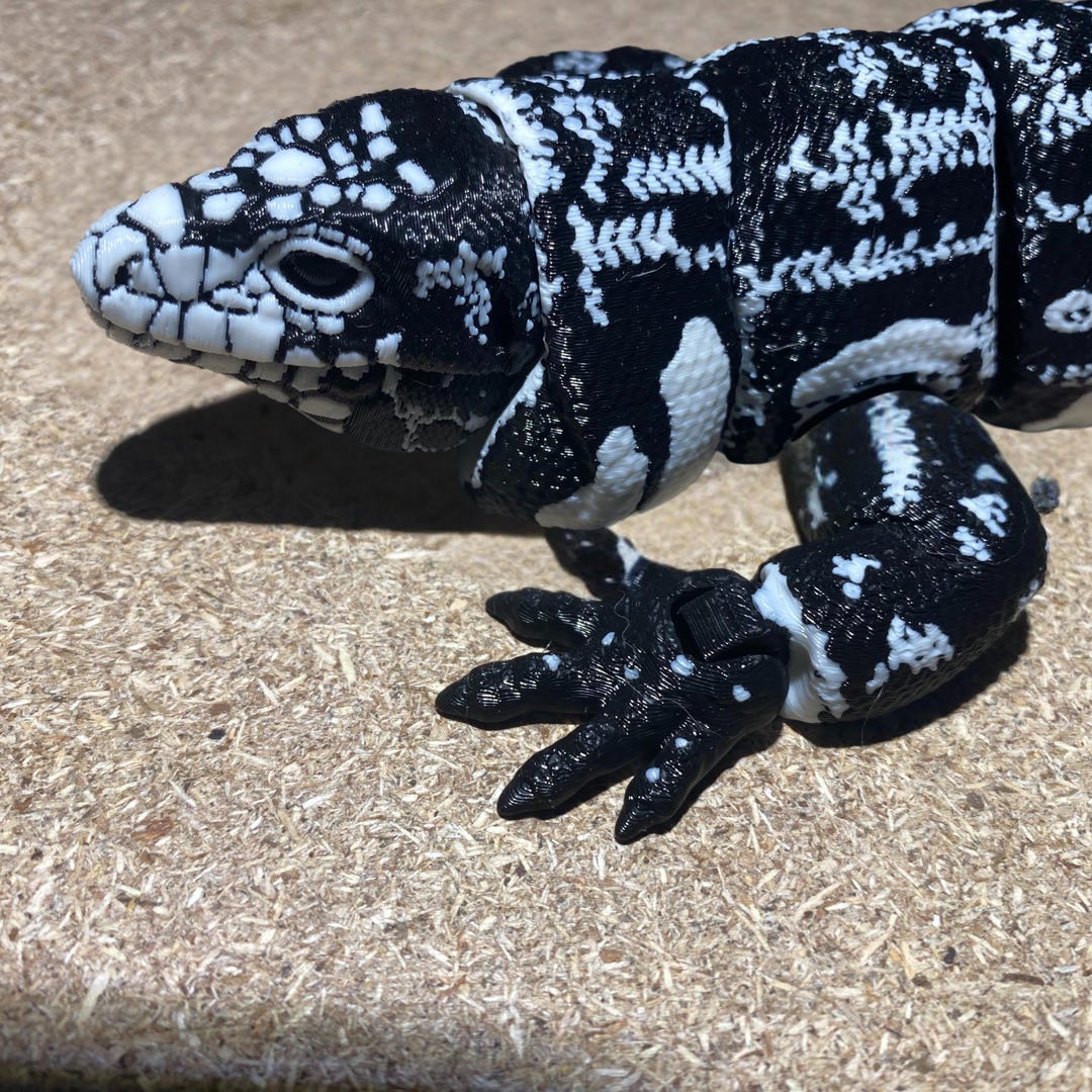 3D Articulated Black and White Tegu Realistic 3D Printed Reptile Toy ...