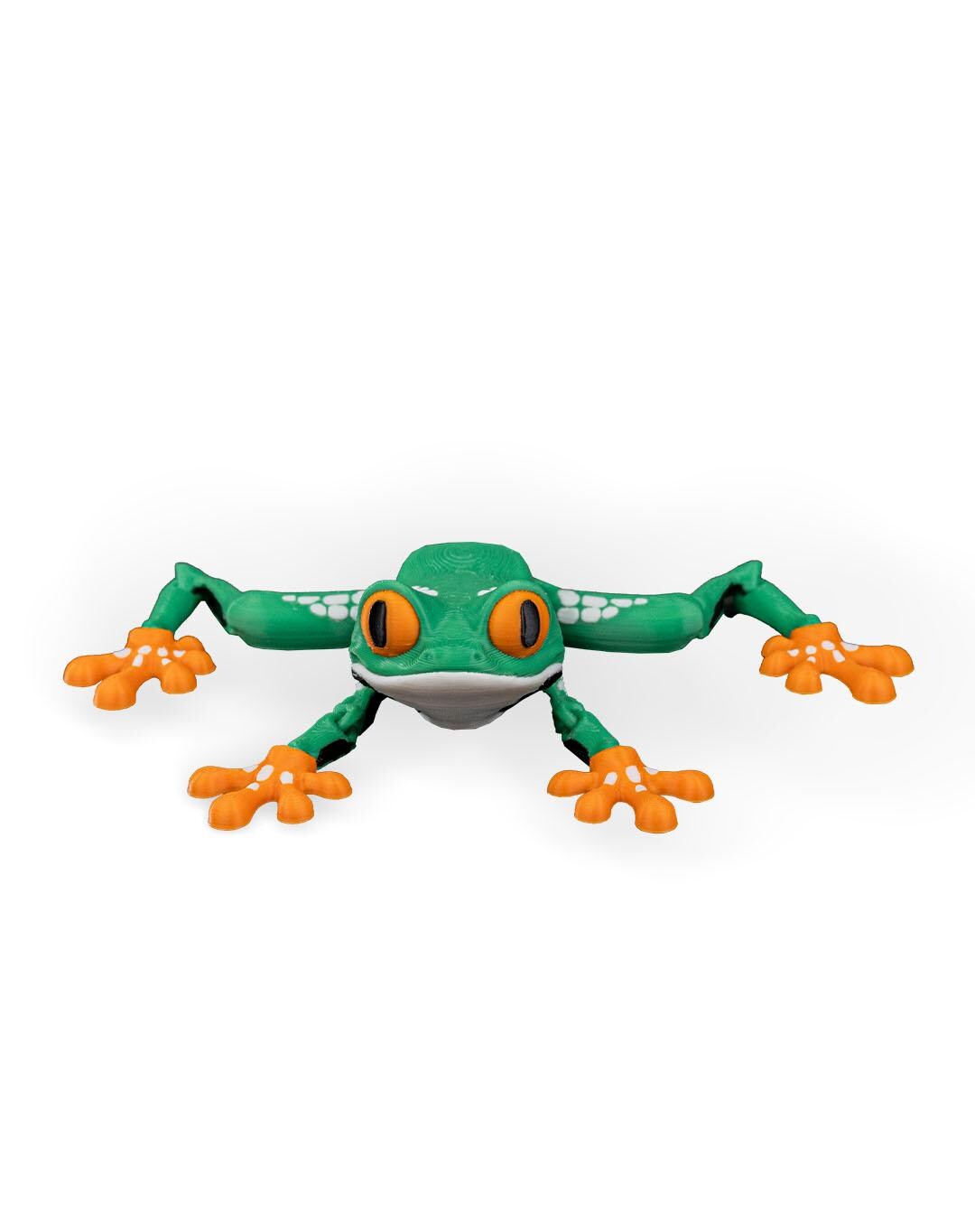 3D Printed Articulated Red-eyed Tree Frog Toy, Poseable Frog Gift ...