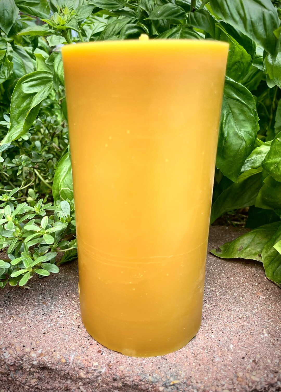 Beautiful 6 Large Pillar, 100% Pure Beeswax..2.8 Across..burns 1 Week ...