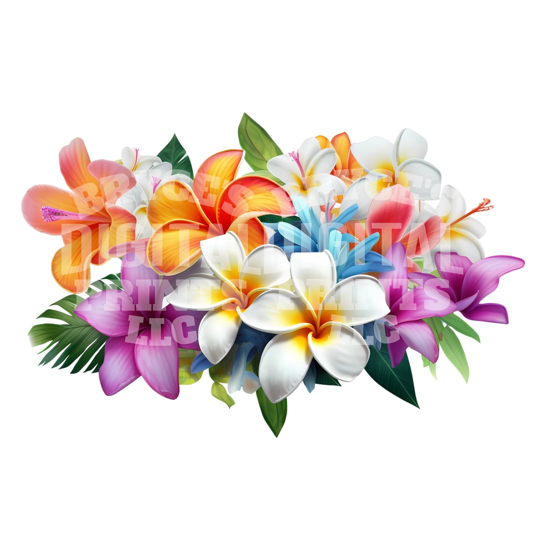 Plumeria, Hawaiian Flower, Digital Download, Plumeria Flowers, Hawaiian ...