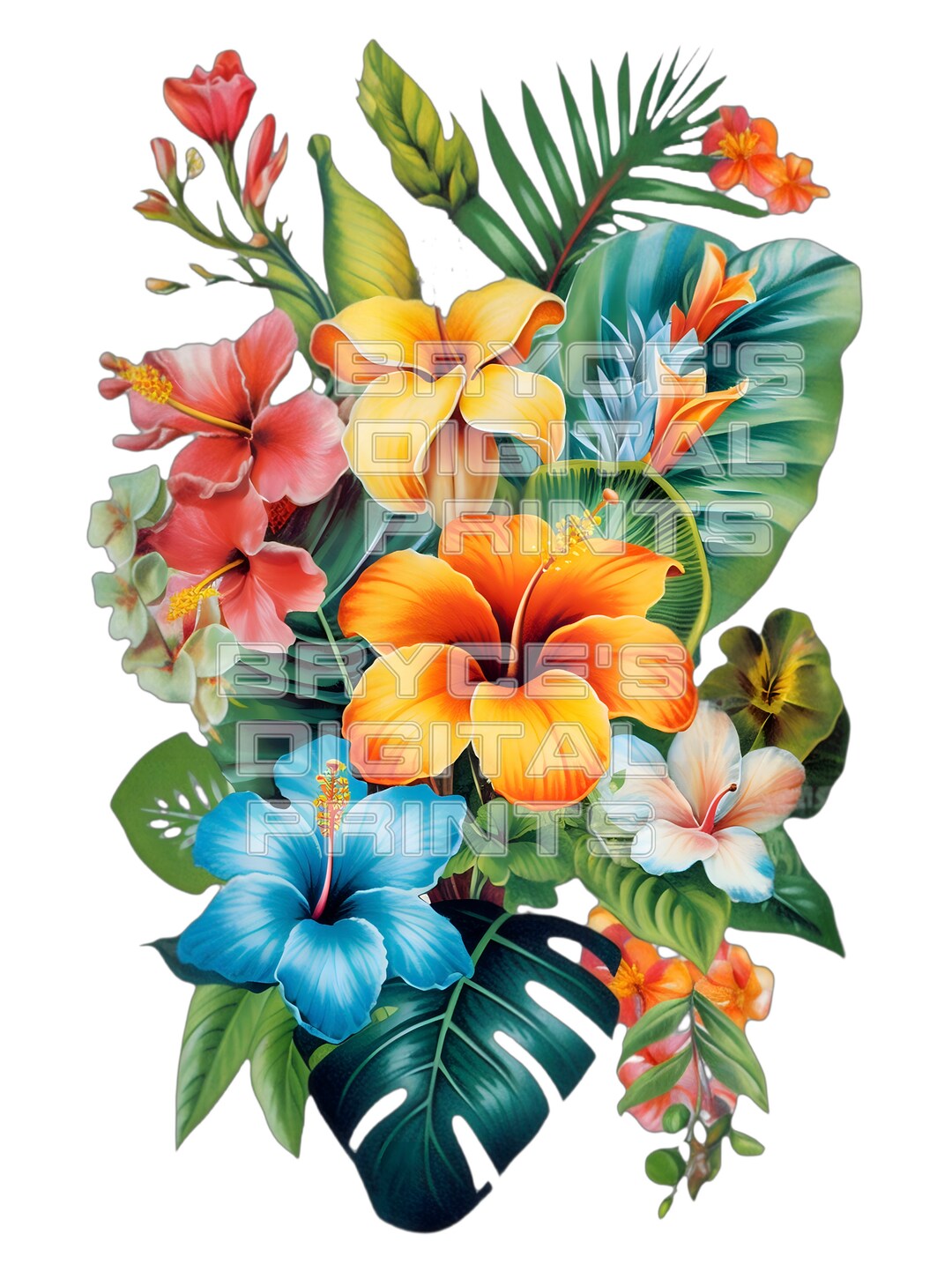 Watercolor Hibiscus Flowers, Digital Download, Hibiscus Clipart ...