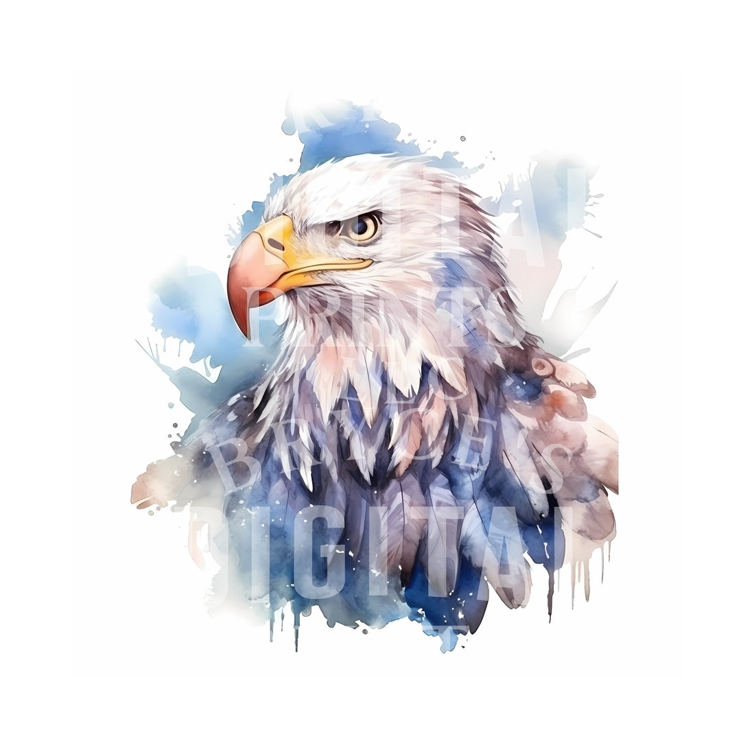 Watercolor Bald Eagle, Digital Download, Bald Eagle Clipart, Watercolor ...
