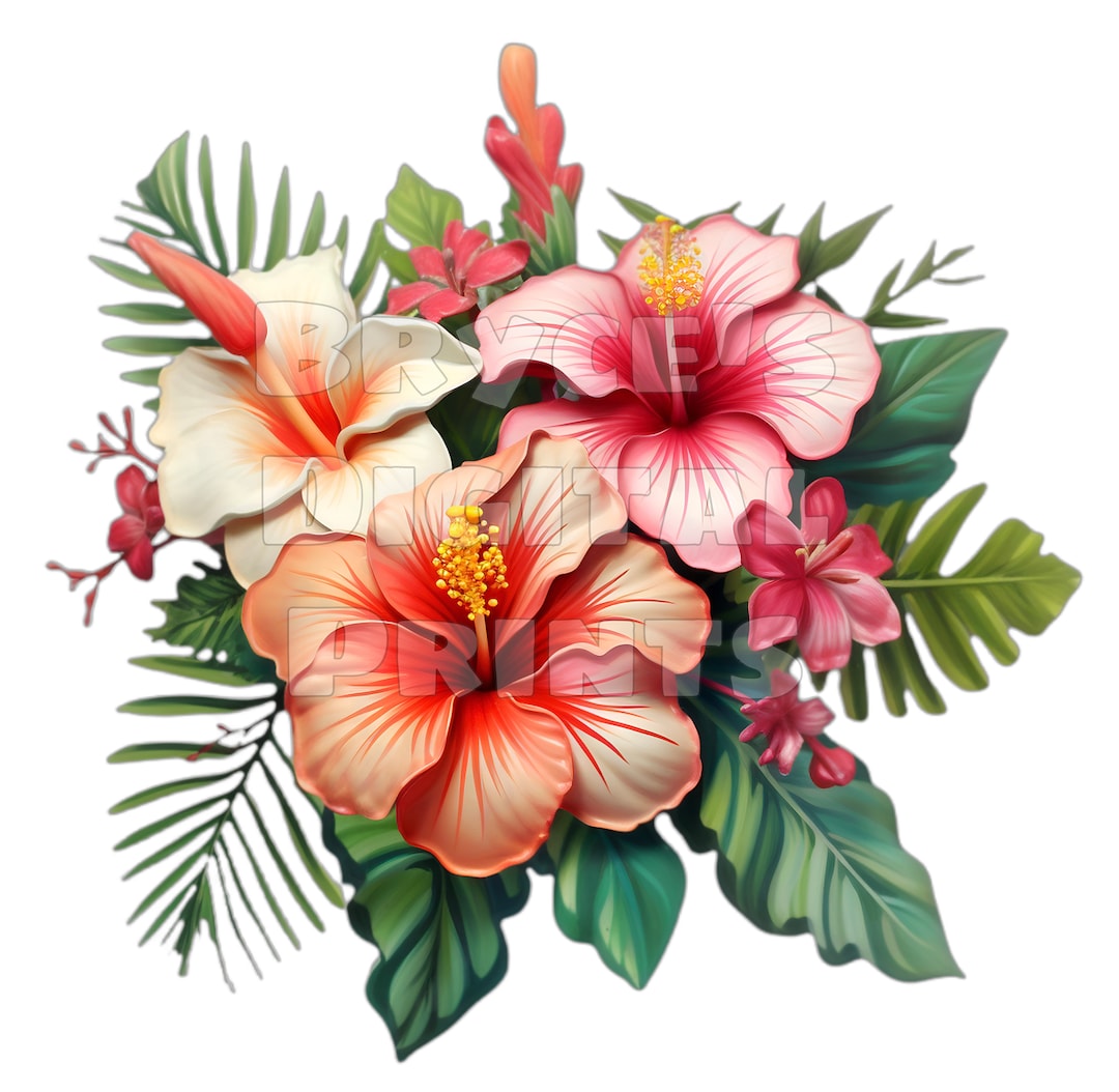 Watercolor Hibiscus Flowers, Digital Download, Hibiscus Clipart ...