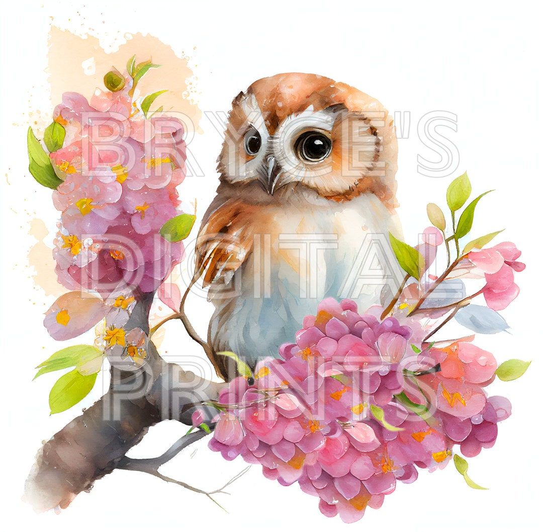 Watercolor Owl Digital Download Owl Clipart Watercolor Clipart ...