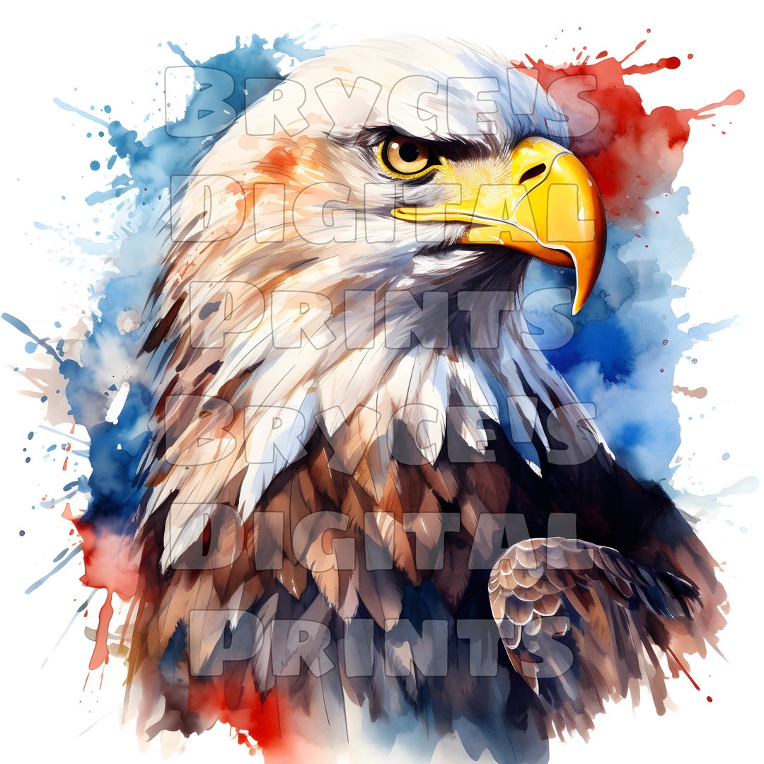 Watercolor American Bald Eagle Digital Download American Bald Eagle ...