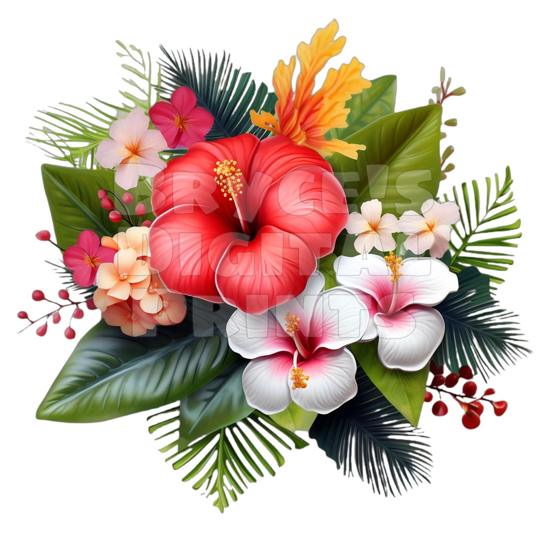 Watercolor Hibiscus Flowers, Digital Download, Hibiscus Clipart ...