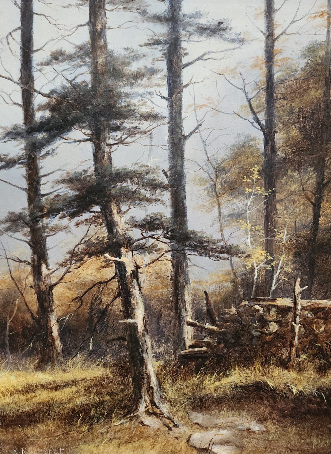 Rudi Reichardt, Trees With a Woodpile, 1967, Oil on Board - Etsy