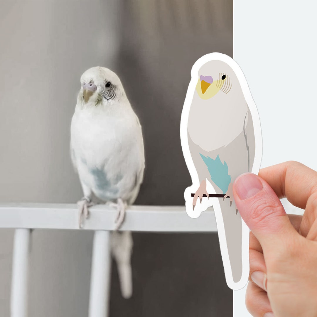 Custom Pet Bird Stickers, Custom Parrot Stickers, Custom Bird Stickers ...