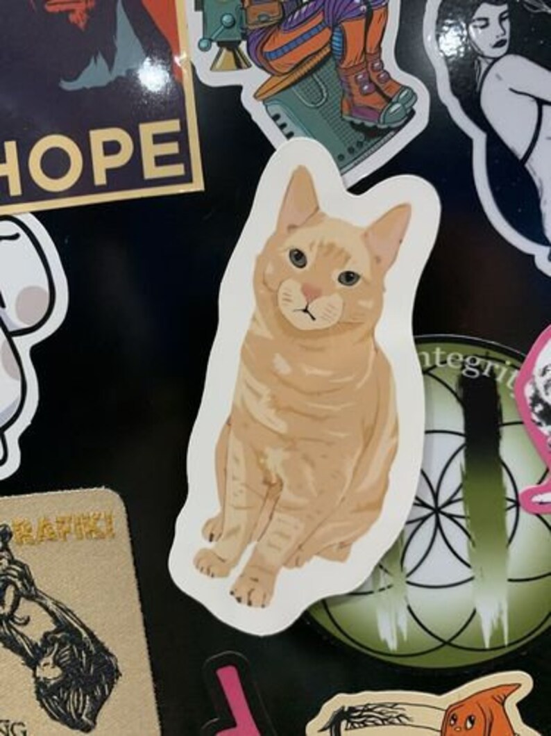 Custom Cat Stickers Hand Drawn Cat Face Stickers Cat Head - Etsy